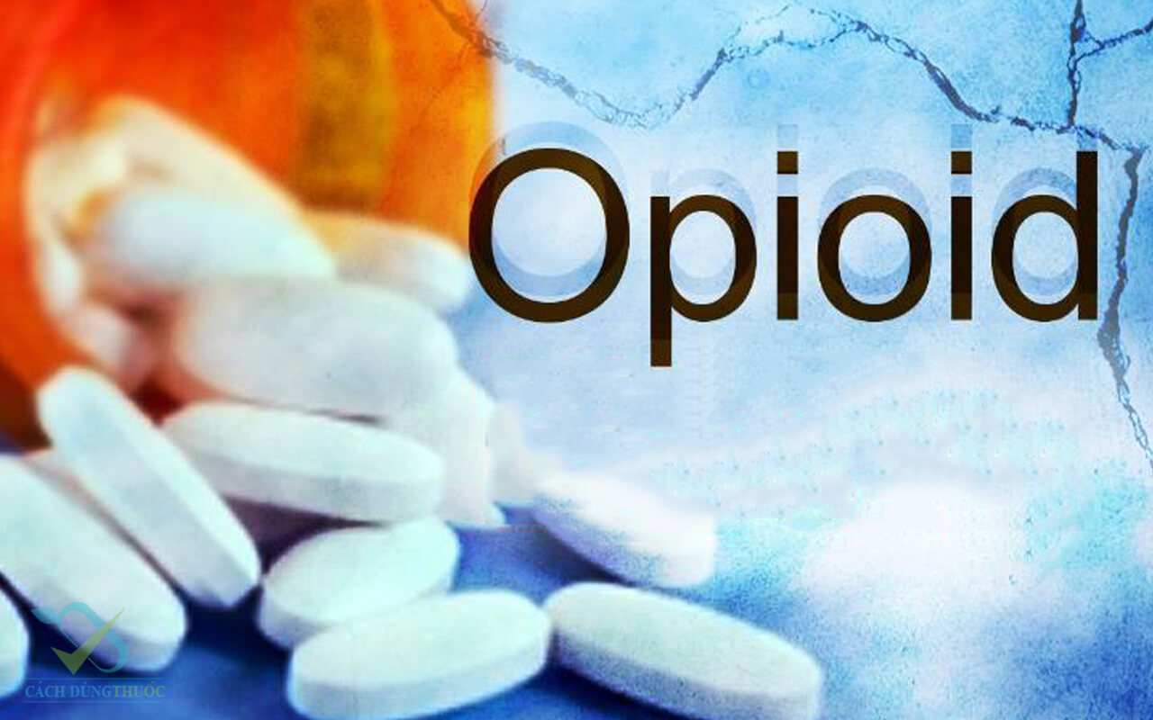 Thuốc opioid khiến người trẻ ở Canada ngày càng tử vong sớm