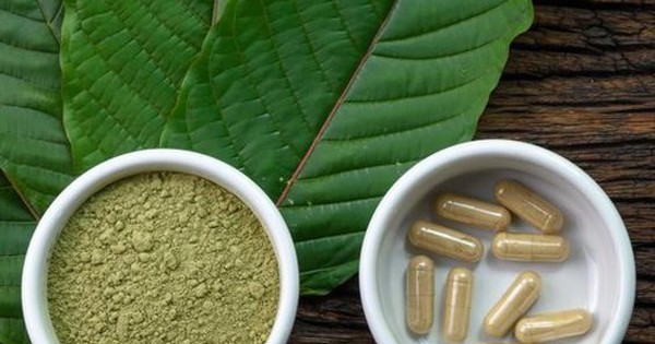 Kratom dễ gây ngộ nhận là vô hại